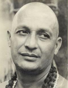 Satyananda Yoga - Bihar School of Yoga | Vrindayoga